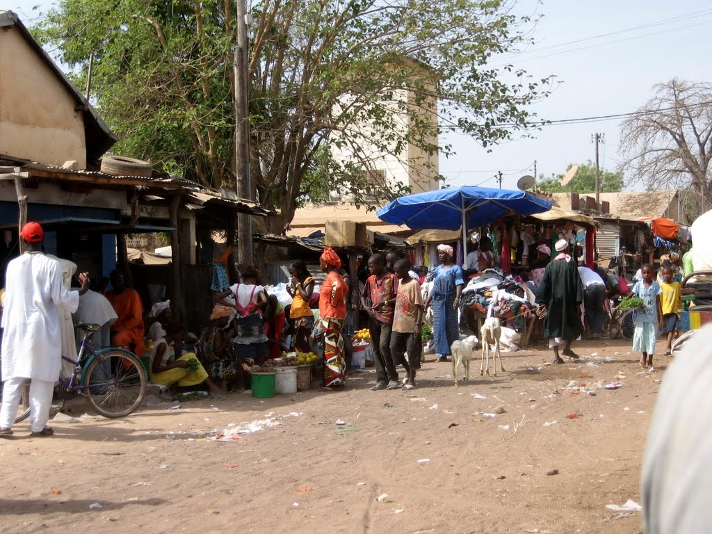 Les éleveurs ont contracté une dette de 14 .000.000 FCFA du FONSAB.Le ...